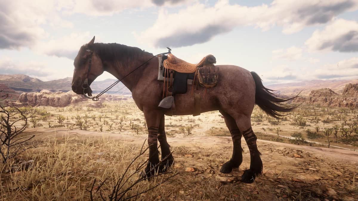 Where to find all best horses in Red Dead Redemption 2 Chapter 2 - Gamepur