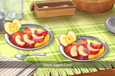 Pokémon fan recreated Sword and Shield curry, and it looks downright ...