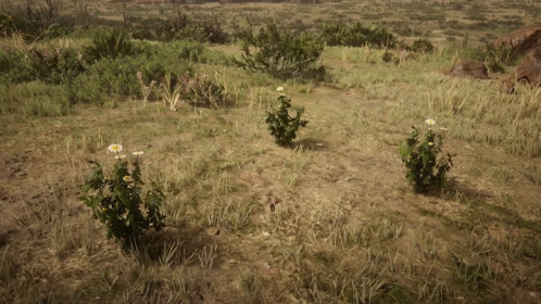 Red Dead Redemption 2 Cougar Locations | Map Locations And Loot - Gamepur