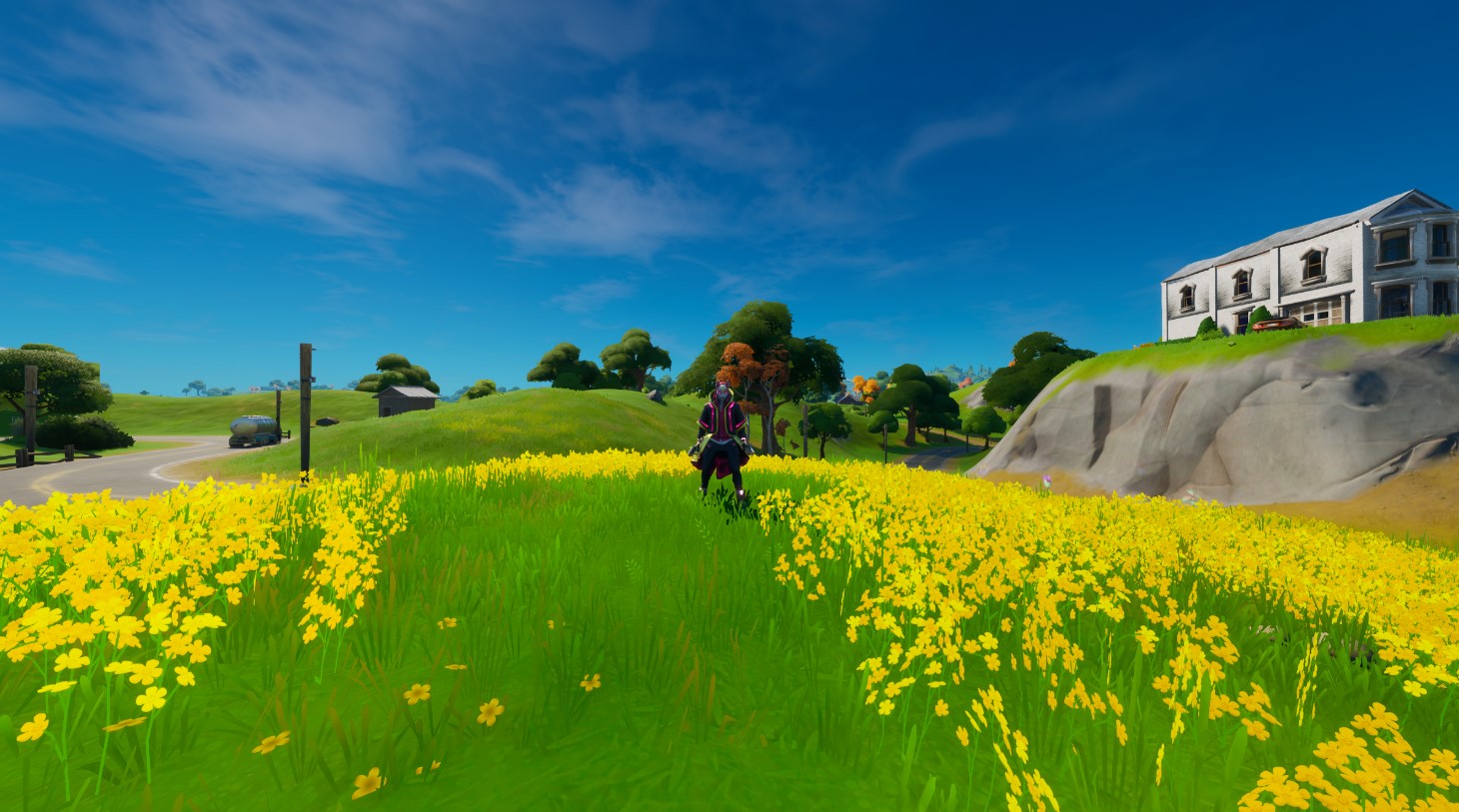 Where to Search the Hidden Gnome Found in Between Fancy View, a Wooden ...