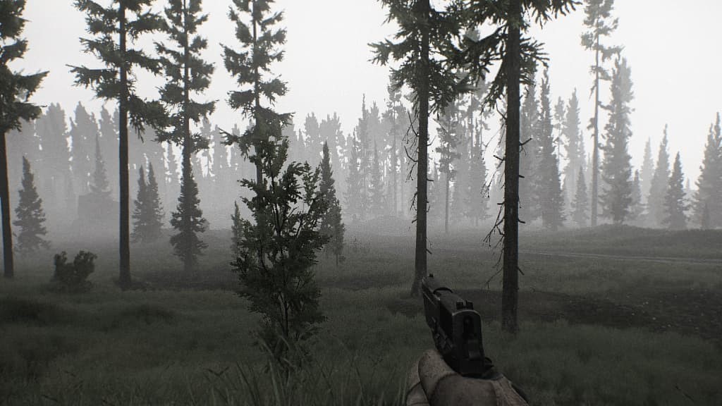 Escape From Tarkov Woods map guide - loot and key locations, extraction ...