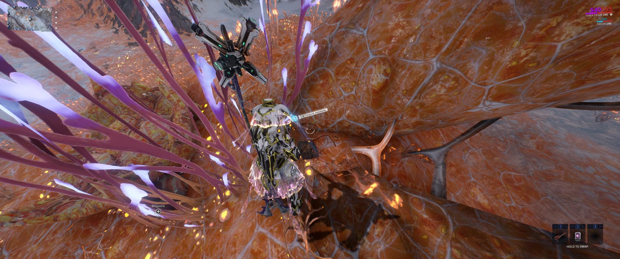 Warframe - How To Get A Perfect Animal Capture - Gamepur