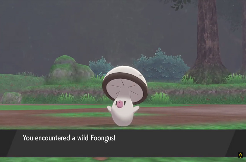 How to get Foongus and Amoongus in Pokemon Sword and Shield's Isle of ...