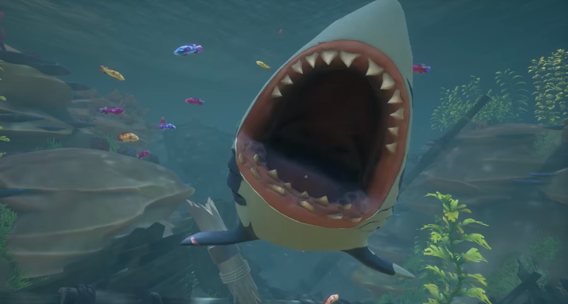 How to get Shark Teeth Tokens in Sea of Thieves - Gamepur