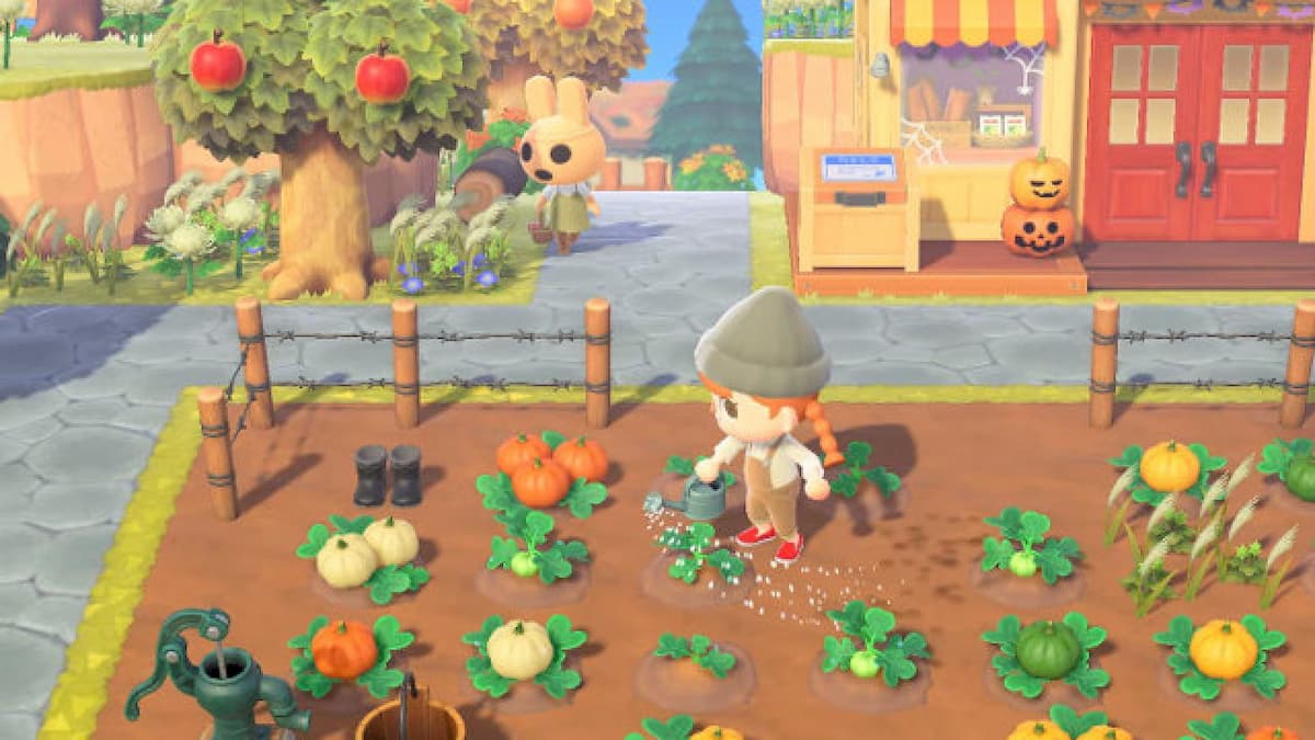 How to get and grow Pumpkins in Animal Crossing: New Horizons - Gamepur