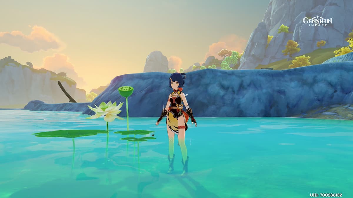 The best places to farm Lotus Head in Genshin Impact - Lotus Head ...