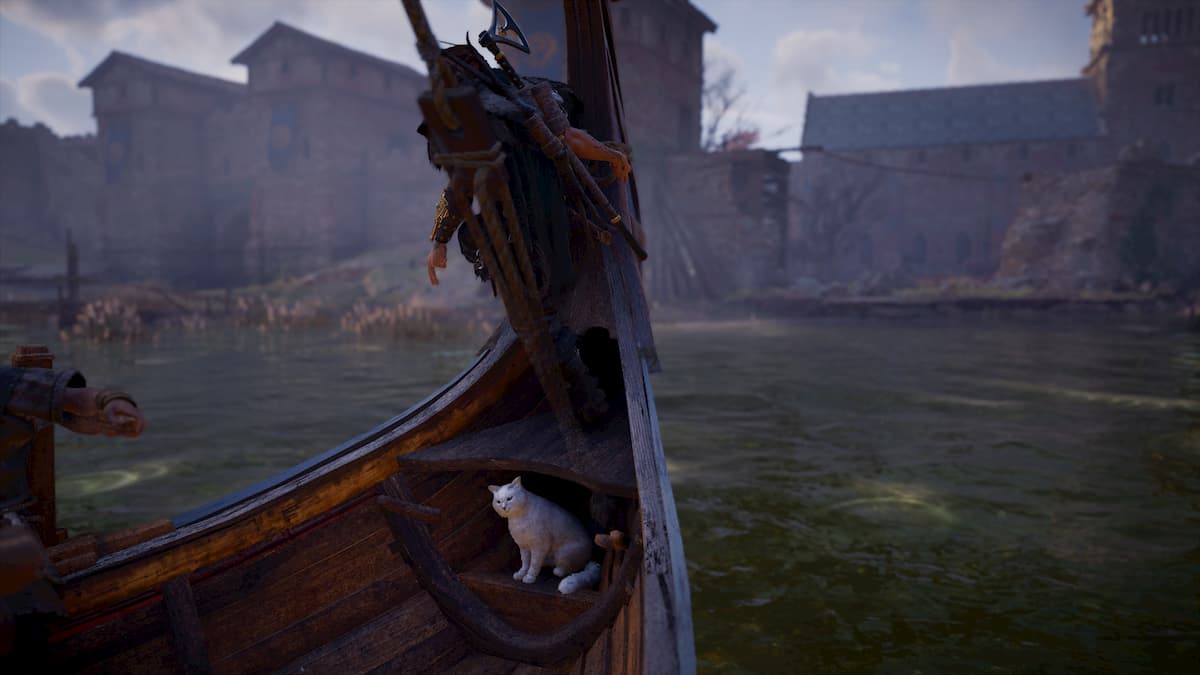 How to get the cat companion for your longship in Assassin's Creed ...