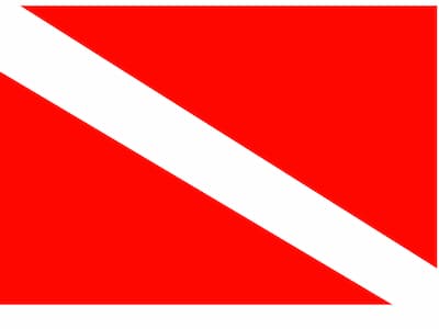 How to Get Your Boating License in BitLife - All Boating License Test ...