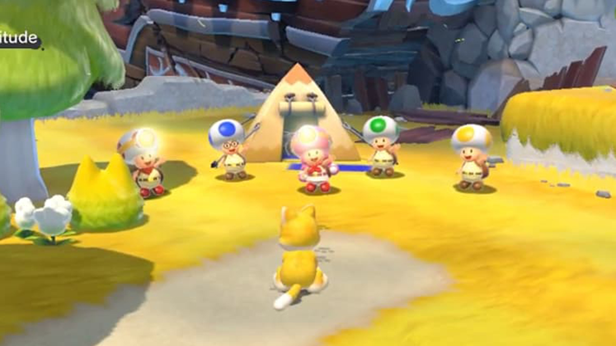 Where to find the Toad Brigade in Super Mario 3D World + Bowser's Fury ...