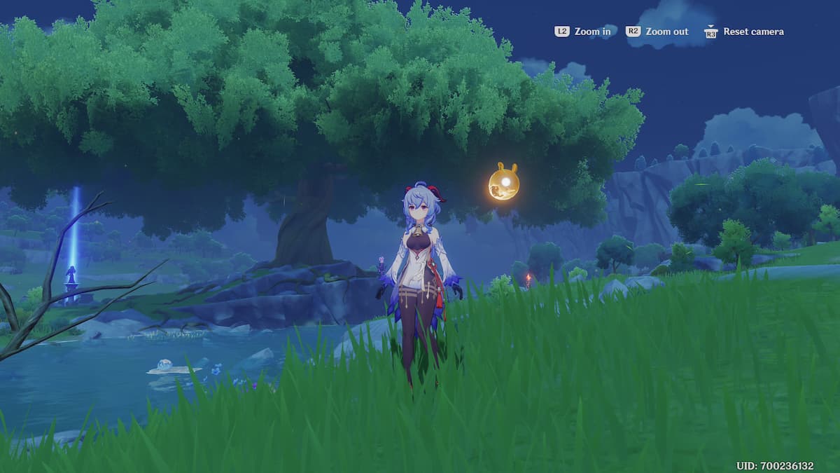 The best locations to farm Fowl in Genshin Impact - Gamepur