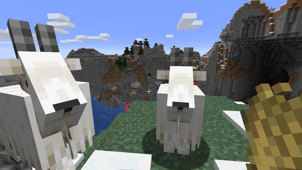 How to tame Goats in Minecraft - Gamepur