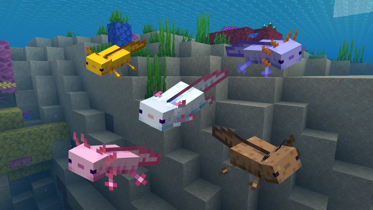Minecraft: All Axolotl Color Variants - Gamepur