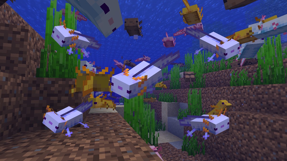 How to get Blue Axolotls in Minecraft - Gamepur