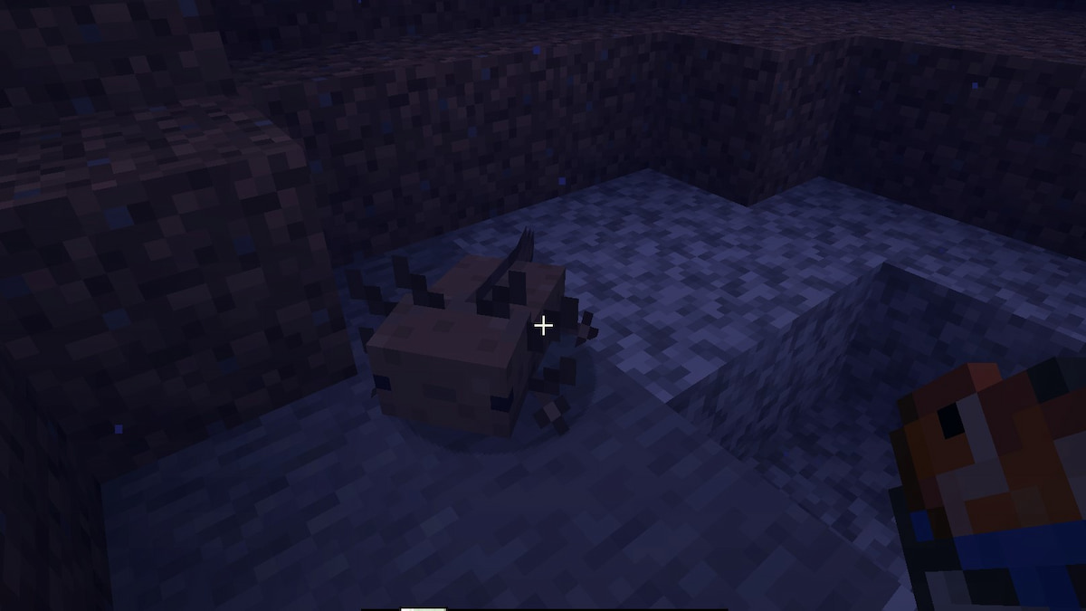 What do Axolotls eat and how to feed them in Minecraft - Gamepur
