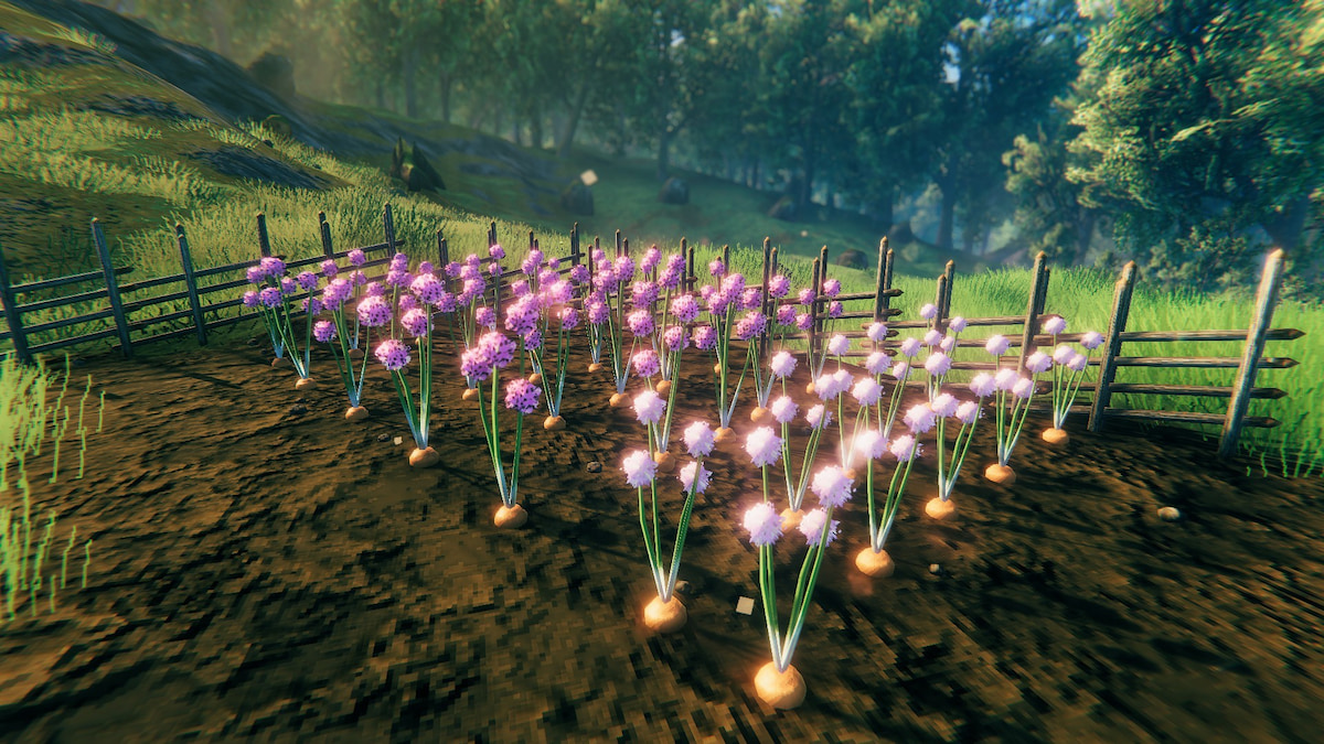 Where to find onions in Valheim - Gamepur