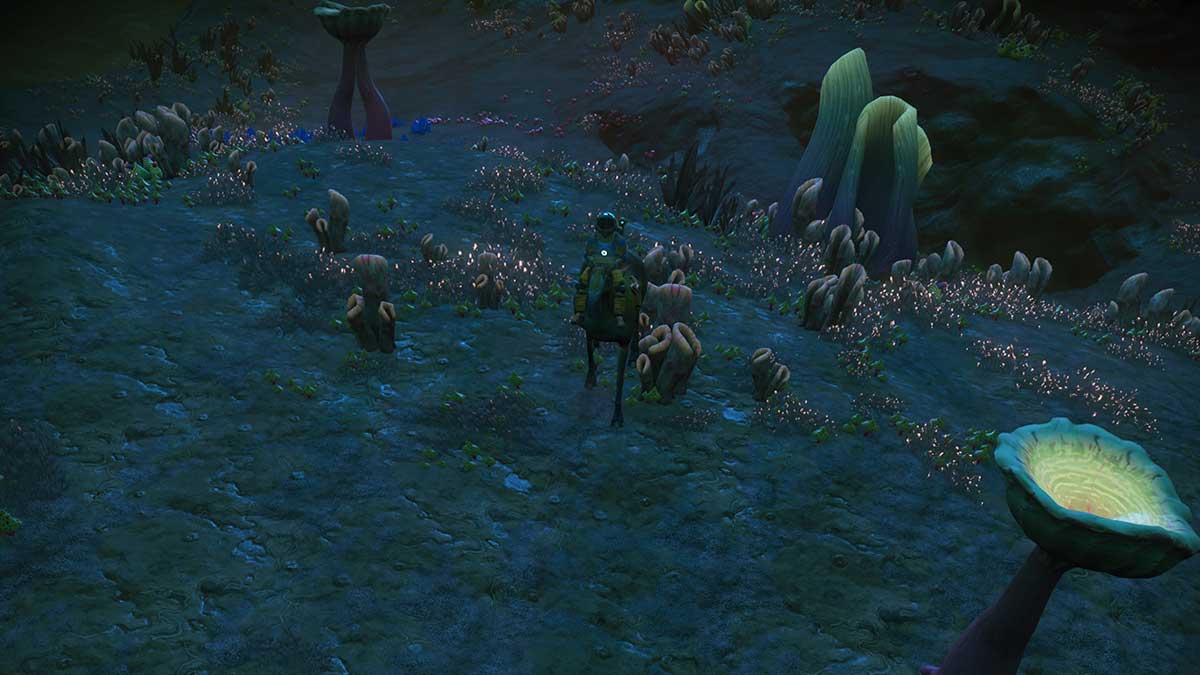 How to complete Companionship in No Man's Sky Expedition Three ...