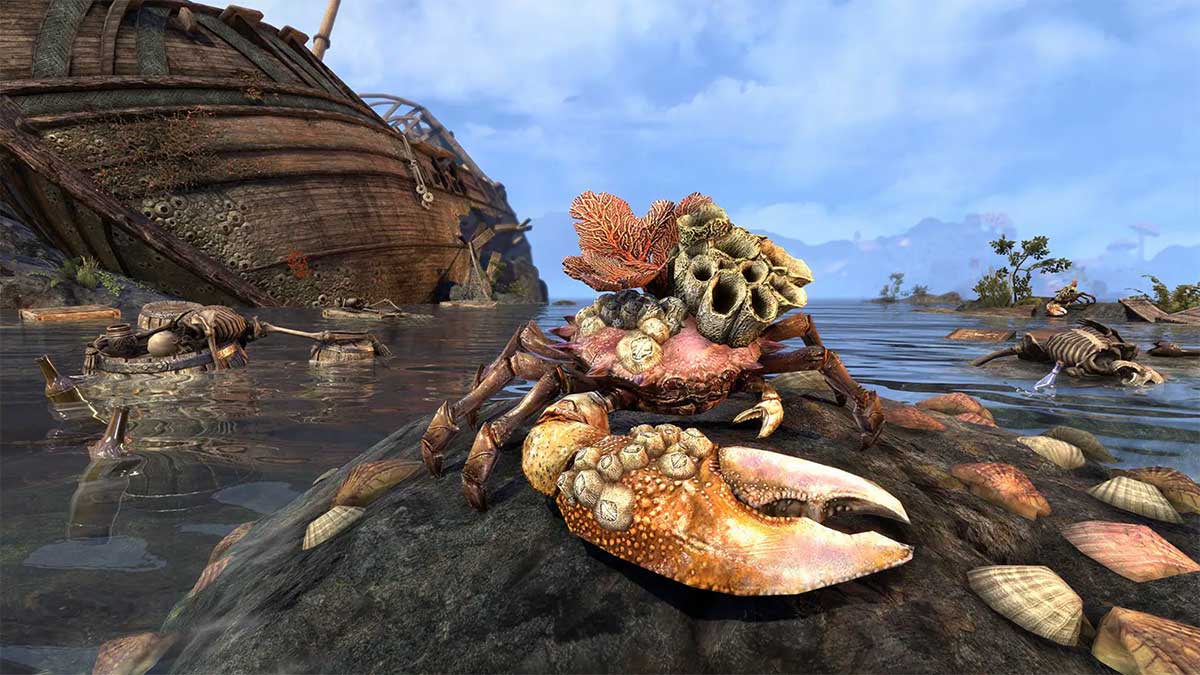 How to get the Barnacle-Back Coral Crab pet in The Elder Scrolls Online ...