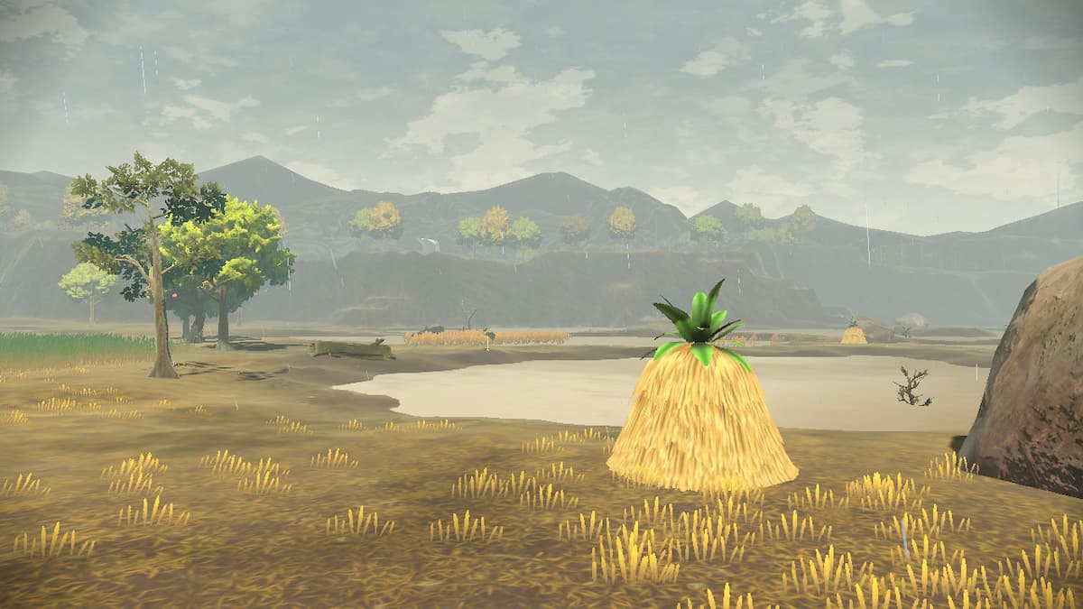 Where to get Caster Ferns in Pokémon Legends: Arceus - Gamepur