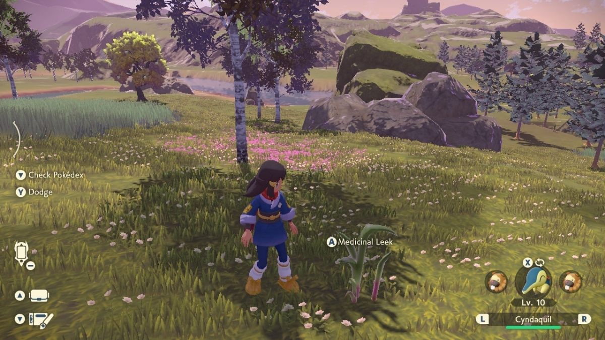 Where to find Medicinal Leeks in Pokemon Legends: Arceus - Gamepur