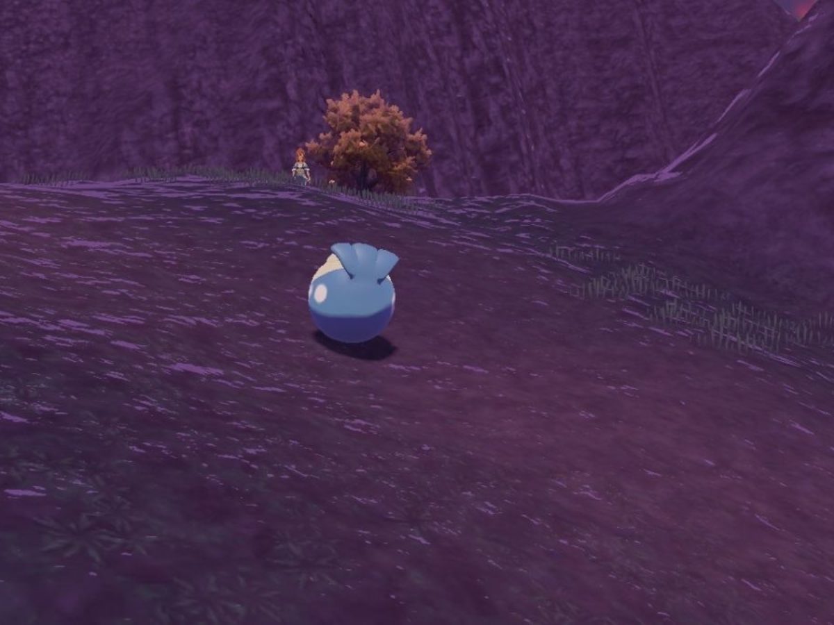 Spheal Pokemon