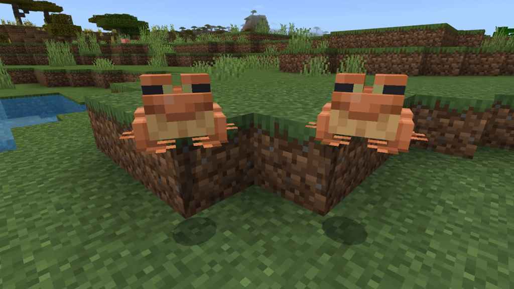 How high can Frogs jump in Minecraft? - Gamepur
