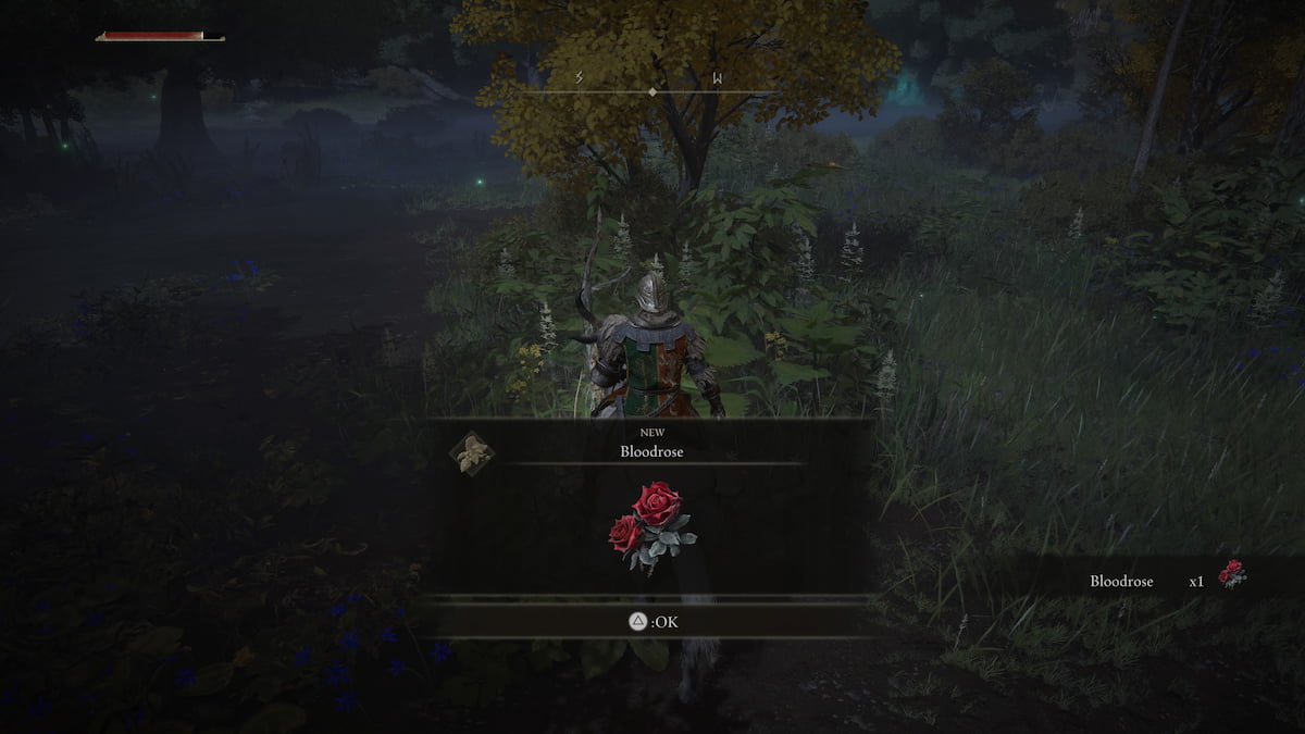 Where to find Bloodrose in Elden Ring – and what it does - Gamepur