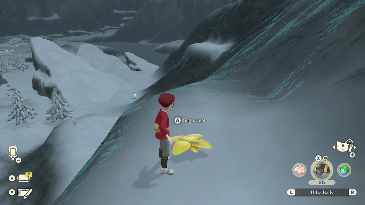 Where to get King's Leaves in Pokémon Legends Arceus - Gamepur