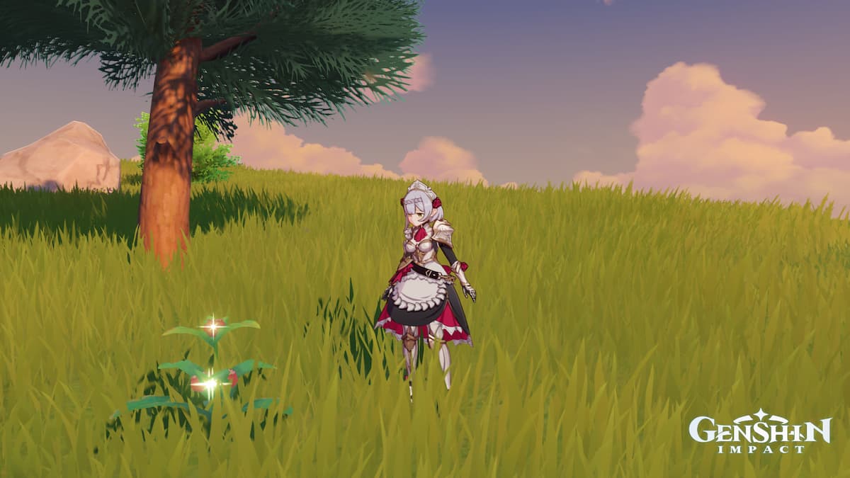 Best Valberry farming route in Genshin Impact - Gamepur