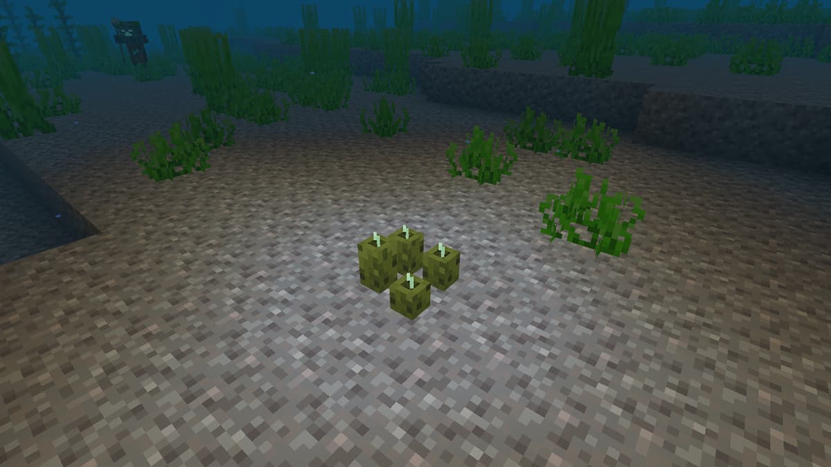 What are Sea Pickles for in Minecraft, and what do they do? - Gamepur