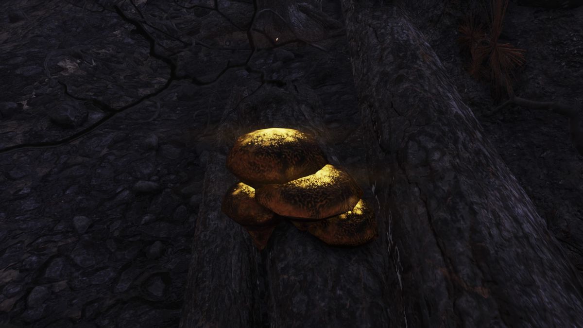 What is Blight in Fallout 76? - Gamepur