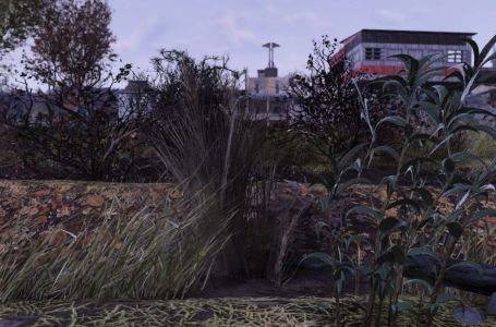 Fallout 76 - Gamepur