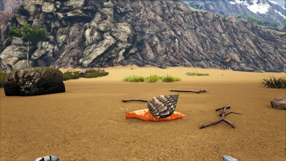 How To Tame An Achatina In Ark Survival Evolved Gamepur