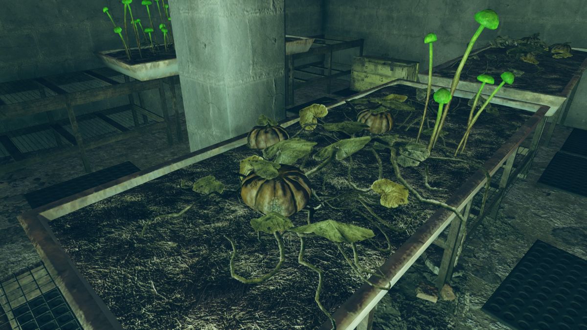 Where to find Gourds in Fallout 76 - Gamepur
