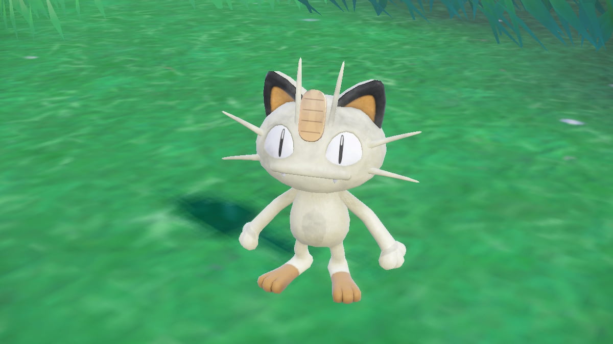 Where to find Meowth in Pokémon Scarlet and Violet - Gamepur