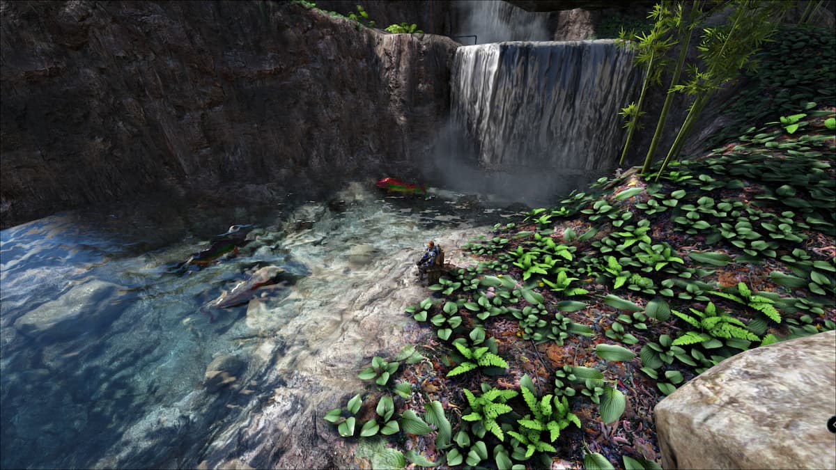 How to get Fishing Rods and Fish in Ark: Survival Evolved - Gamepur