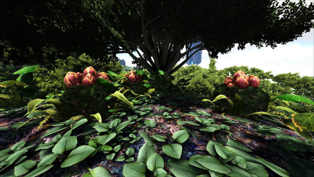 How to get Plant Species X seeds in Ark: Survival Evolved - Gamepur