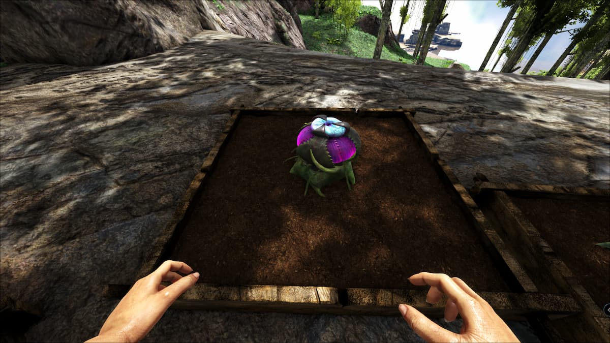 How to get Plant Species Z seeds in Ark: Survival Evolved - Gamepur