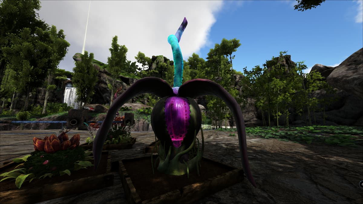 How to get Plant Species Z seeds in Ark: Survival Evolved - Gamepur