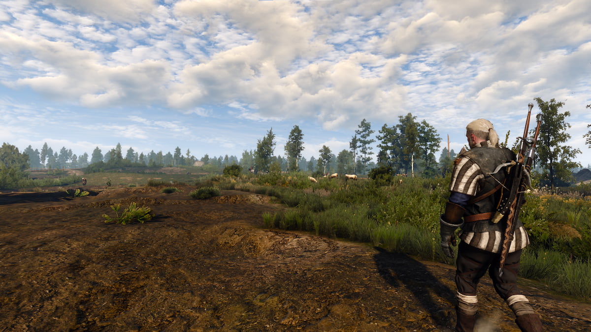 Where to find Arenaria in The Witcher 3: Wild Hunt - Gamepur