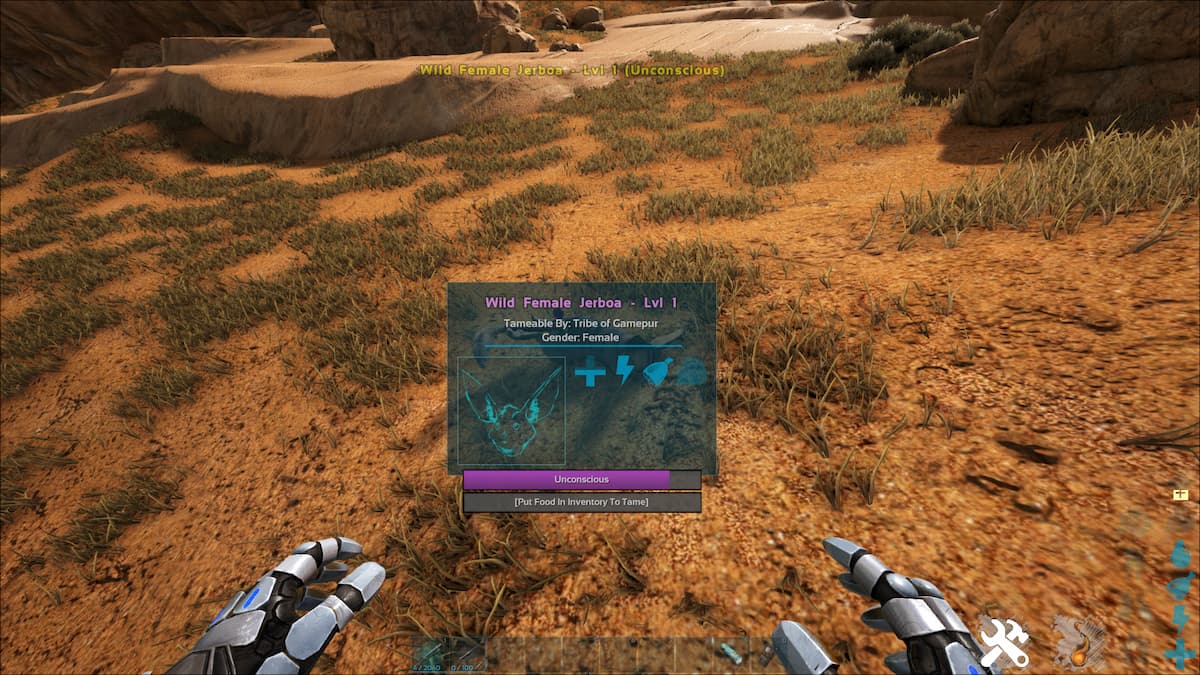 How to tame a Jerboa in Ark: Survival Evolved - Gamepur