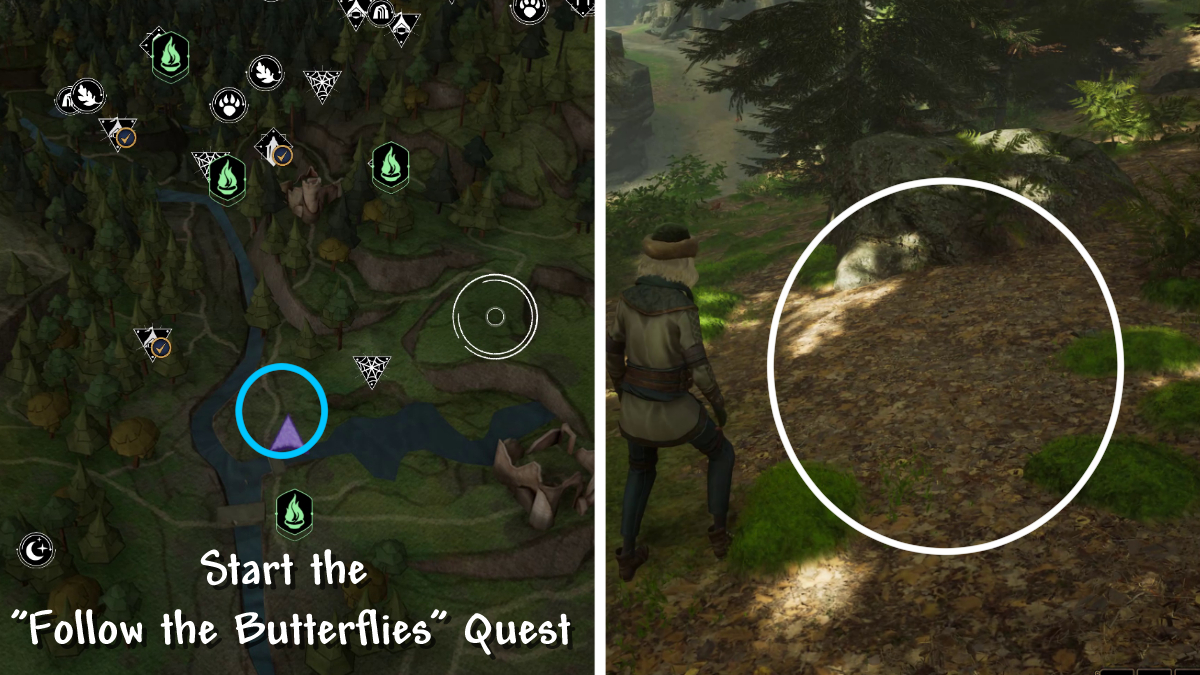 All butterfly locations in Hogwarts Legacy - Gamepur