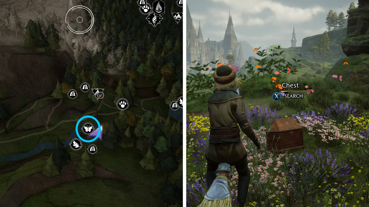 All butterfly locations in Hogwarts Legacy - Gamepur