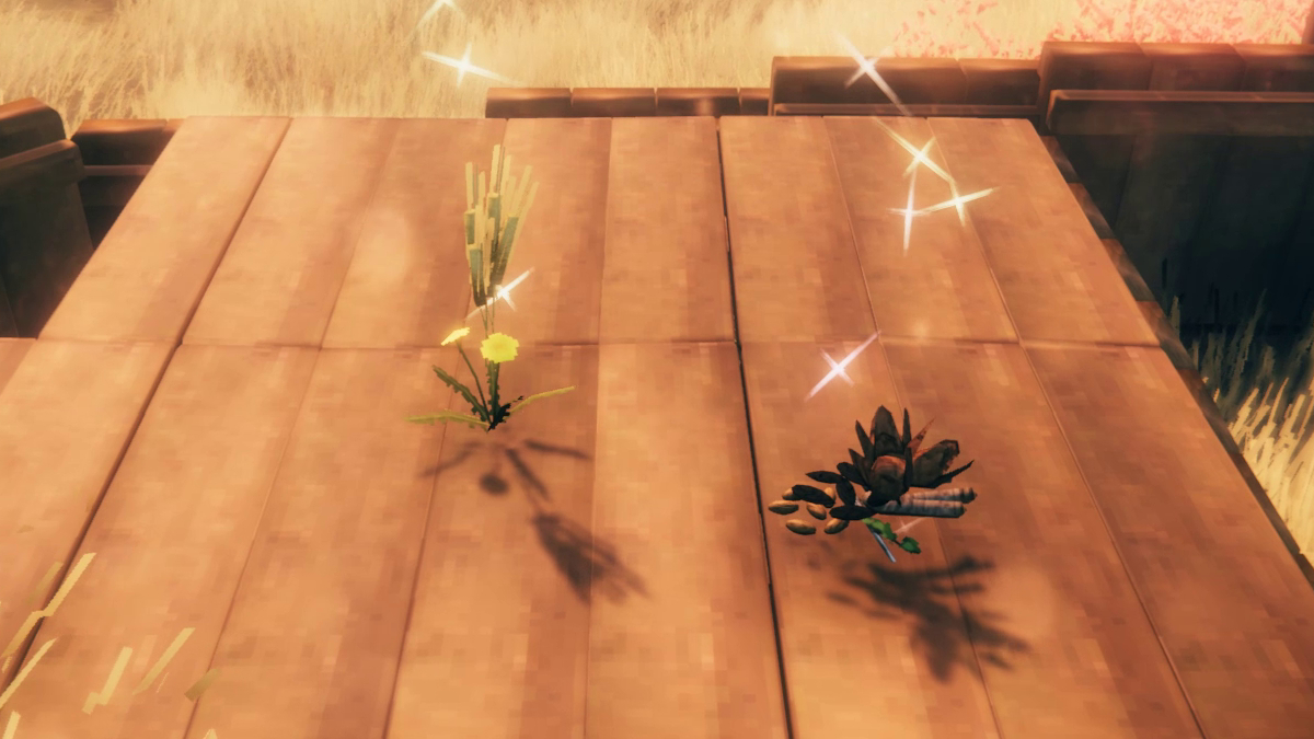 What do hens eat in Valheim? - Gamepur