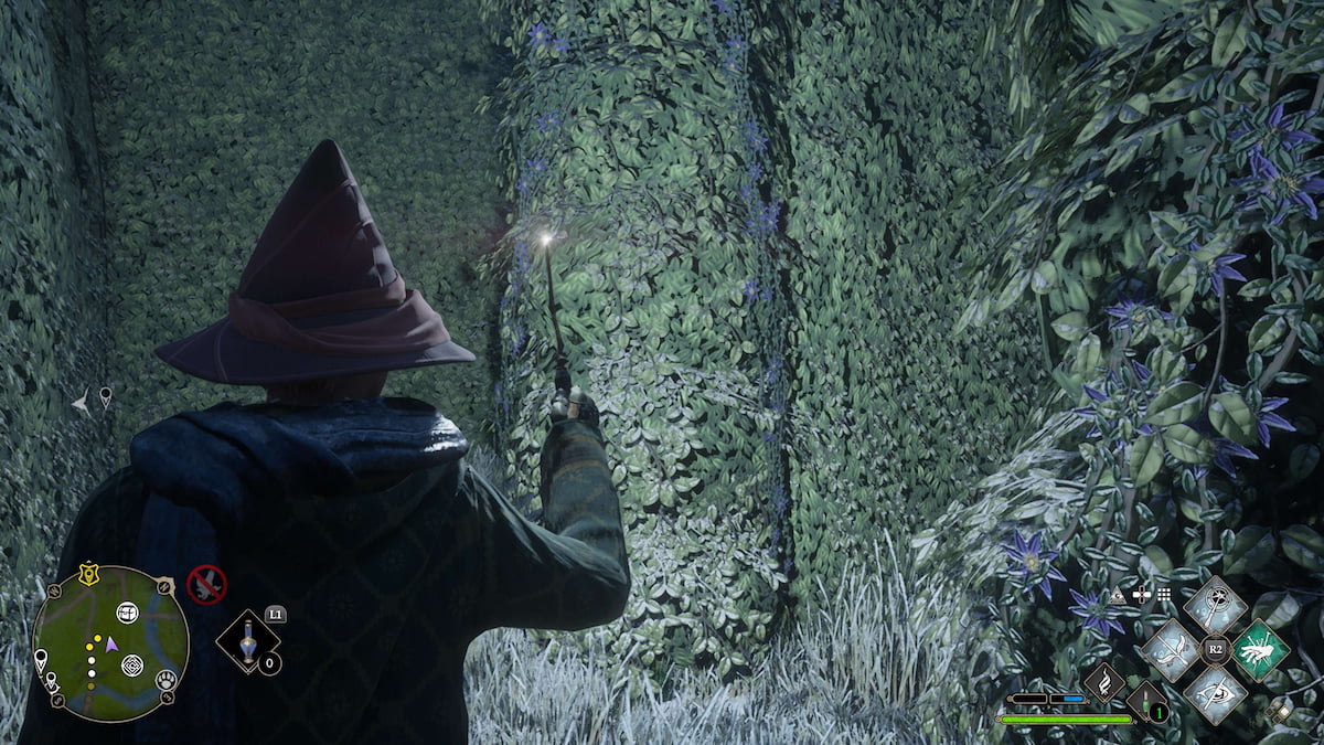 How to solve the Hedge Maze in Upper Hogsfield in Hogwarts Legacy - Gamepur