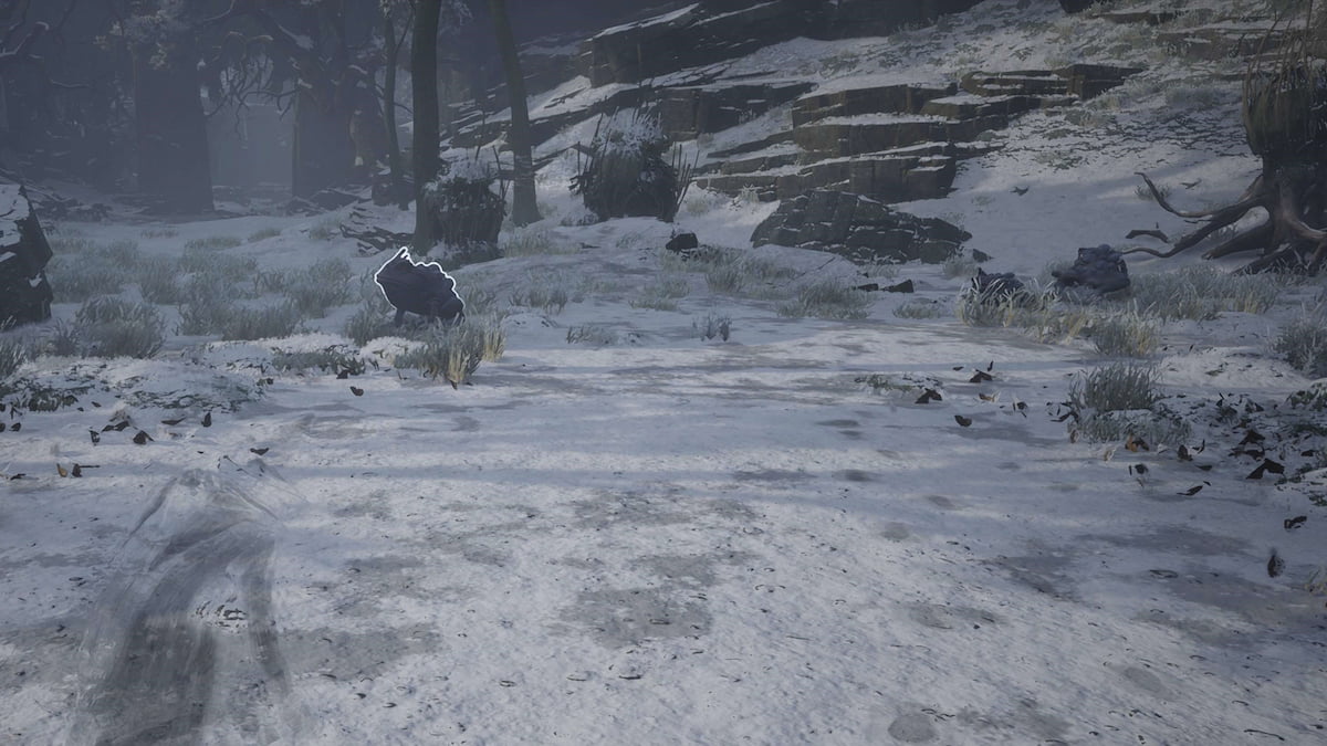 Where to find Giant Purple Toads in Hogwarts Legacy - Gamepur