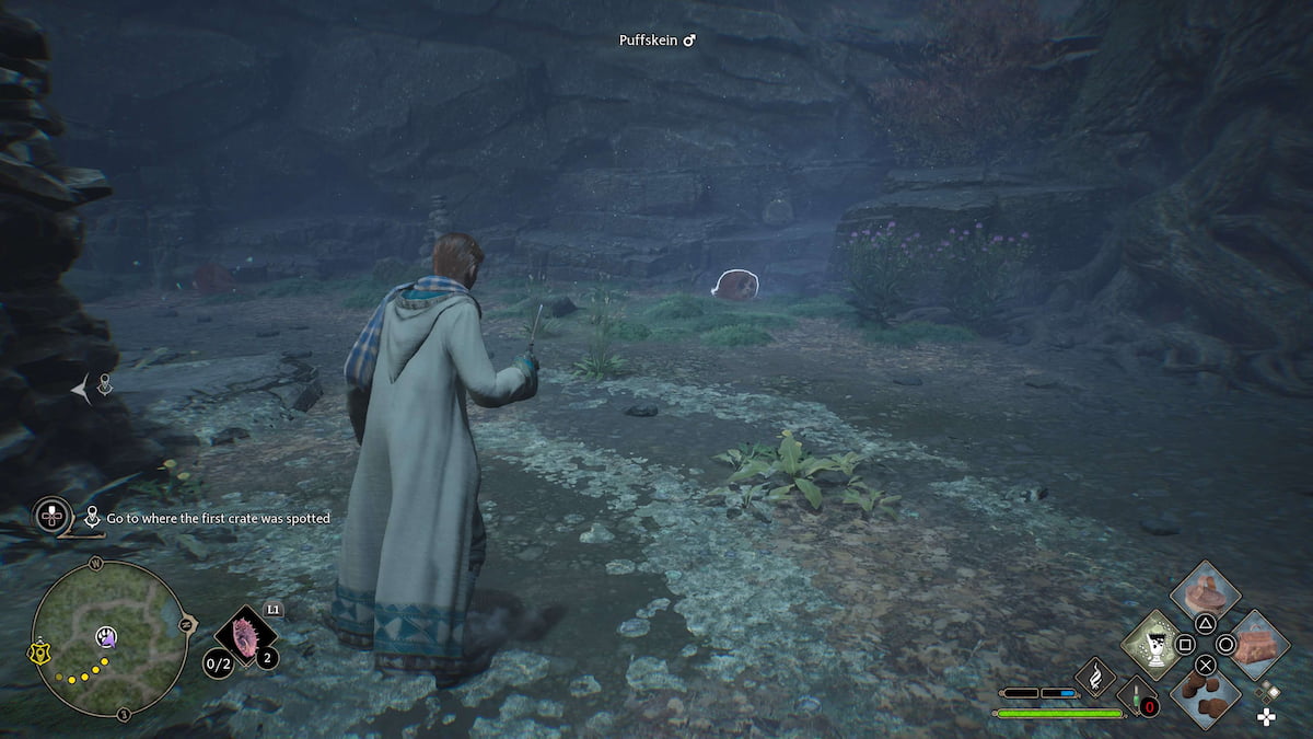 How to find and get beasts in Hogwarts Legacy - Gamepur