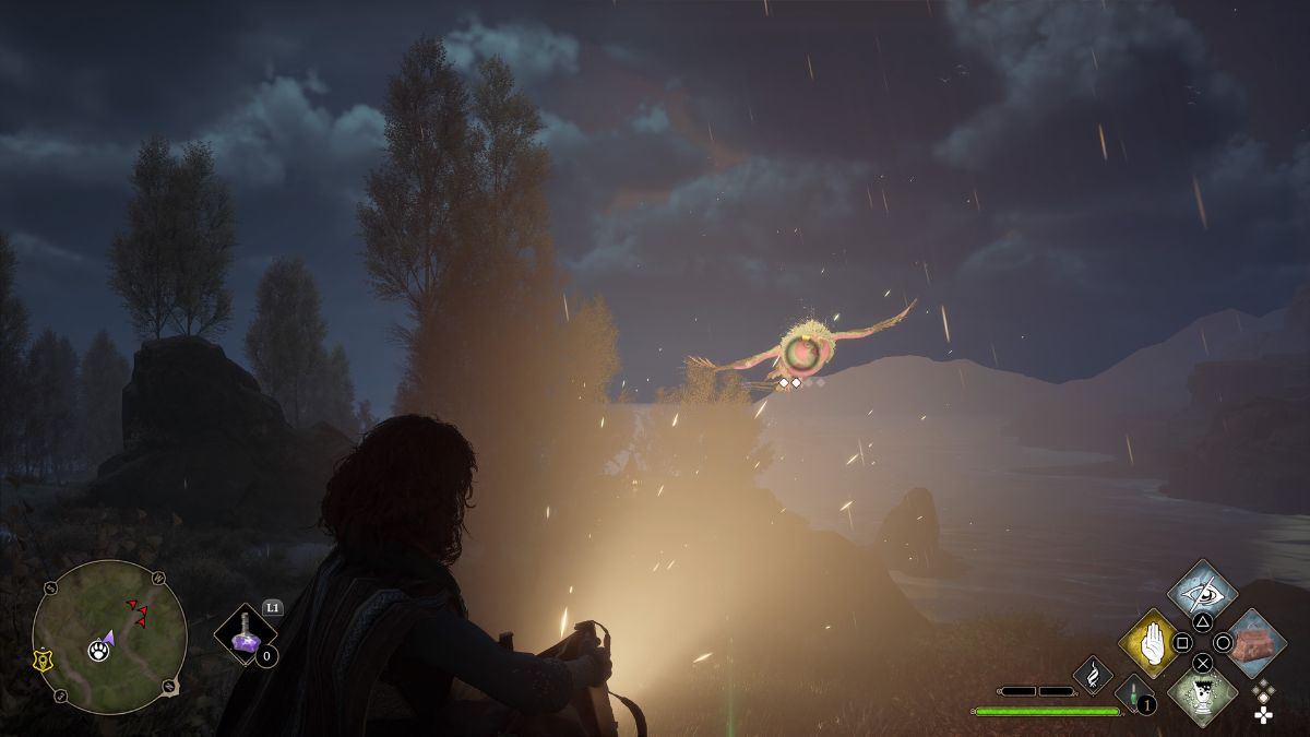 Hogwarts Legacy: How to Catch Fwoopers & Where to Find Them - Gamepur