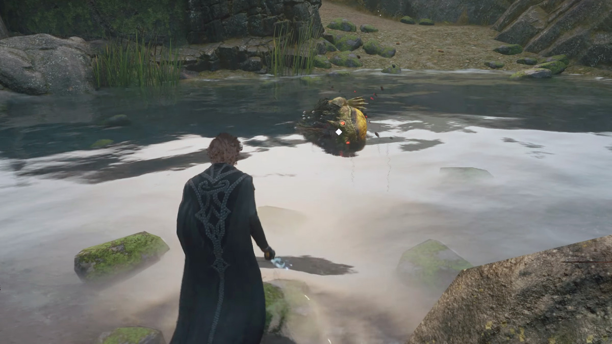 How to find Stoneback Dugbogs in Hogwarts Legacy - Gamepur