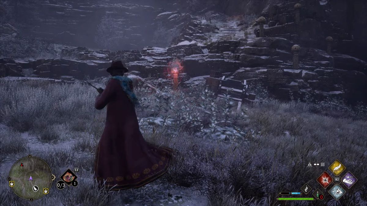 How to solve the Merlin Trial near the Forbidden Forest Floo Flame in ...