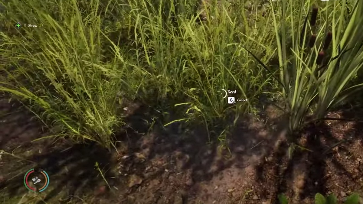 How to get straw in Medieval Dynasty - Gamepur